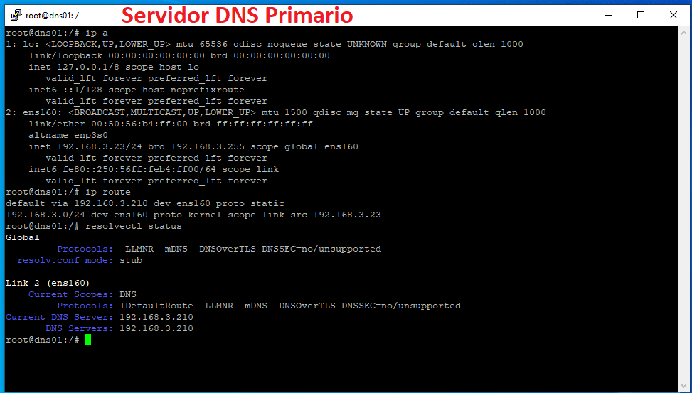 Instalar y configurar Servidores DNS Externos con bind9 – RAGASYS SISTEMAS