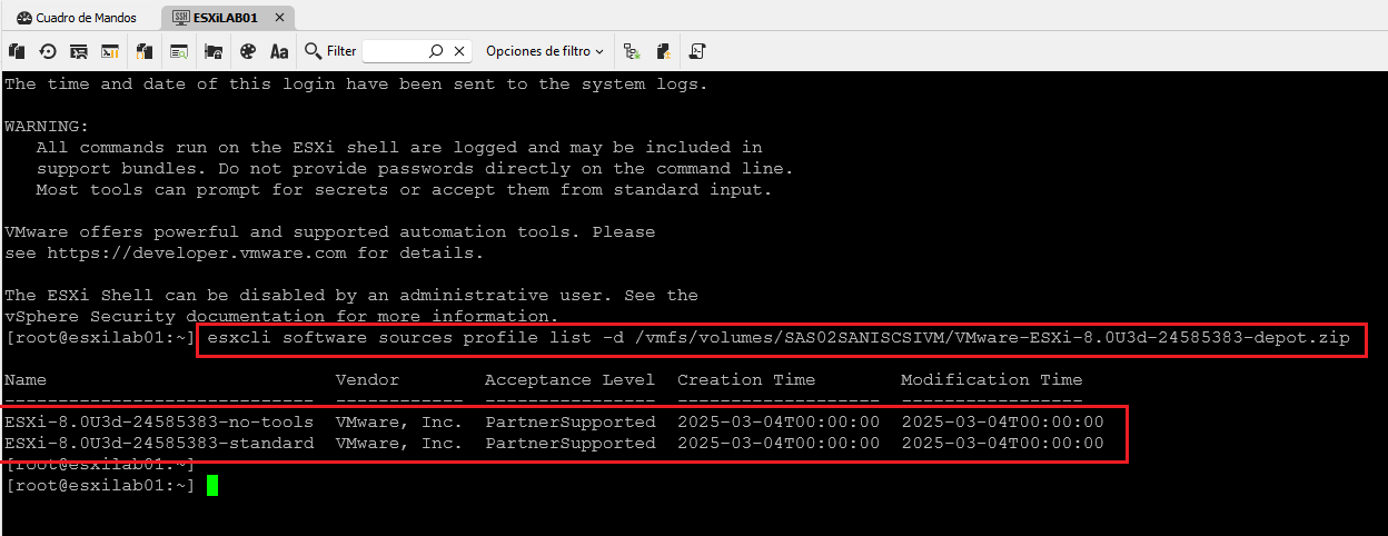 Actualizar VMware vSphere ESXi 8.0 Update 3b a 8.0 Update 3d con ESXCLI – RAGASYS SISTEMAS